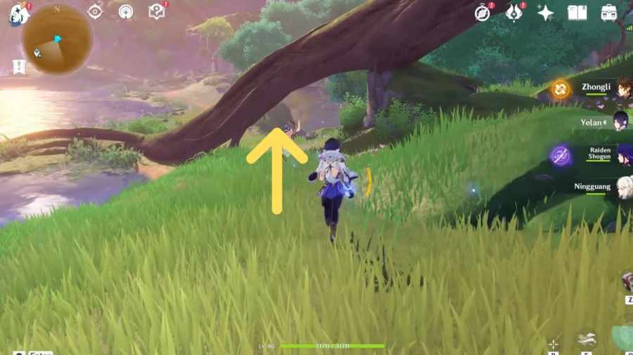 How to solve the Memories of the Eternal Oasis Embed puzzle in Genshin ...