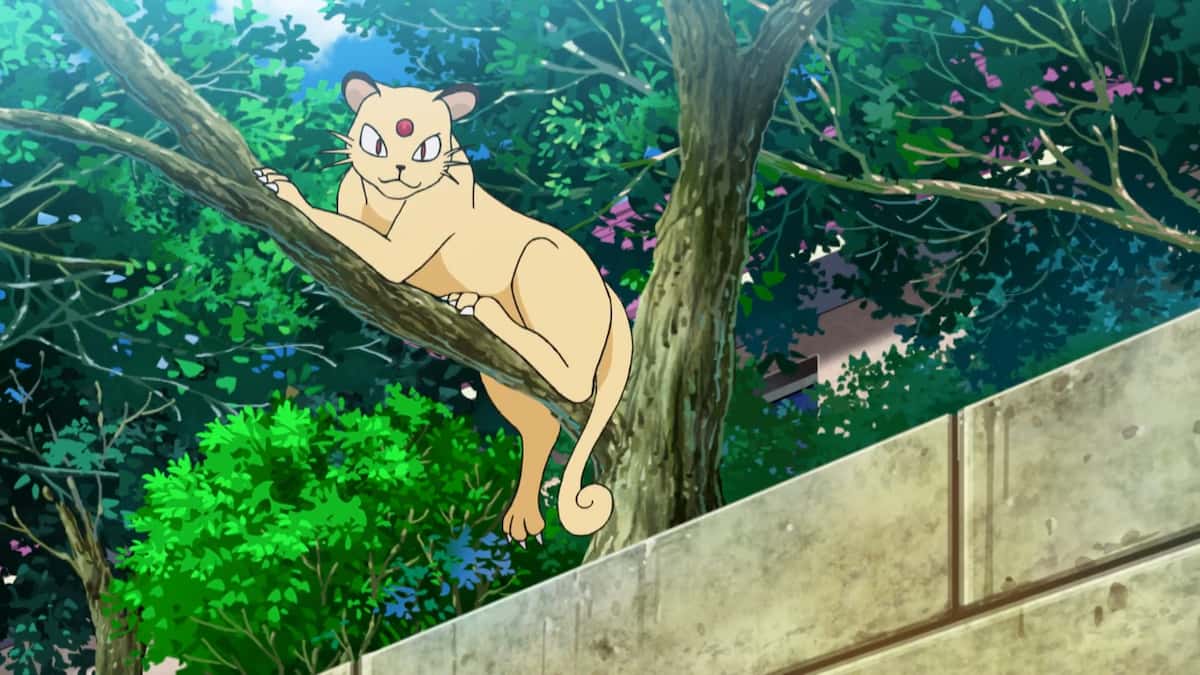 All Cat Pokemon, Ranked (2023) | Pro Game Guides