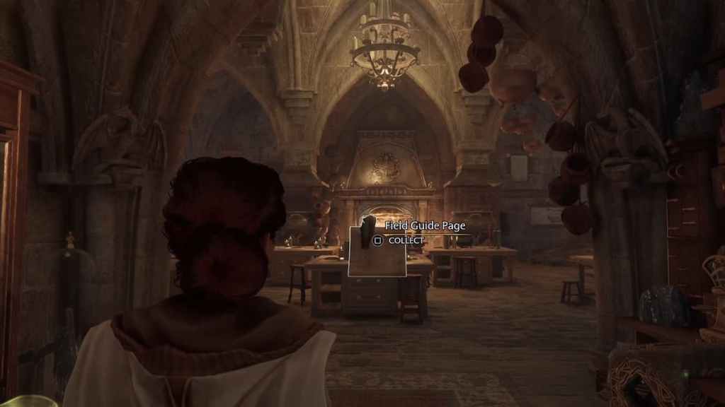 All Astronomy Wing Revelio Field Guide Pages in Hogwarts Legacy | Pro ...