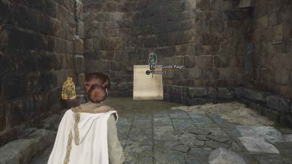 All Astronomy Wing Revelio Field Guide Pages in Hogwarts Legacy | Pro ...