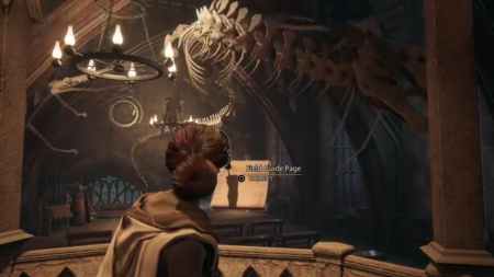 All Astronomy Wing Revelio Field Guide Pages in Hogwarts Legacy | Pro ...