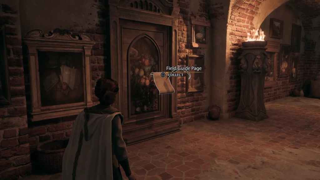 All Revelio Field Guide Pages in The Great Hall Wing in Hogwarts Legacy | Pro Game Guides