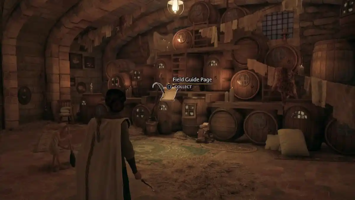 All Revelio Field Guide Pages in The Great Hall Wing in Hogwarts Legacy - Pro Game Guides