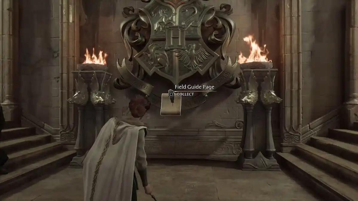 All Revelio Field Guide Pages in The Great Hall Wing in Hogwarts Legacy - Pro Game Guides