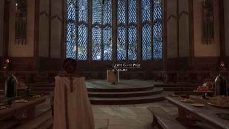 All Revelio Field Guide Pages in The Great Hall Wing in Hogwarts Legacy | Pro Game Guides