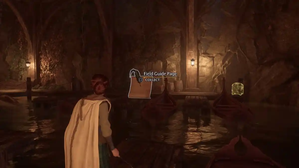 All Revelio Field Guide Pages in The Great Hall Wing in Hogwarts Legacy | Pro Game Guides