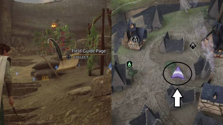 All Revelio Field Guide Pages in Hogsmeade - Hogwarts Legacy