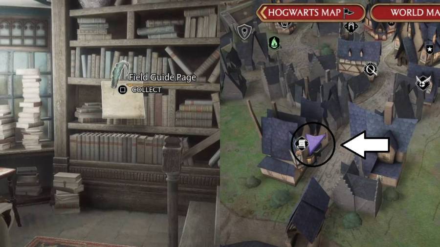 All Revelio Field Guide Pages in Hogsmeade - Hogwarts Legacy