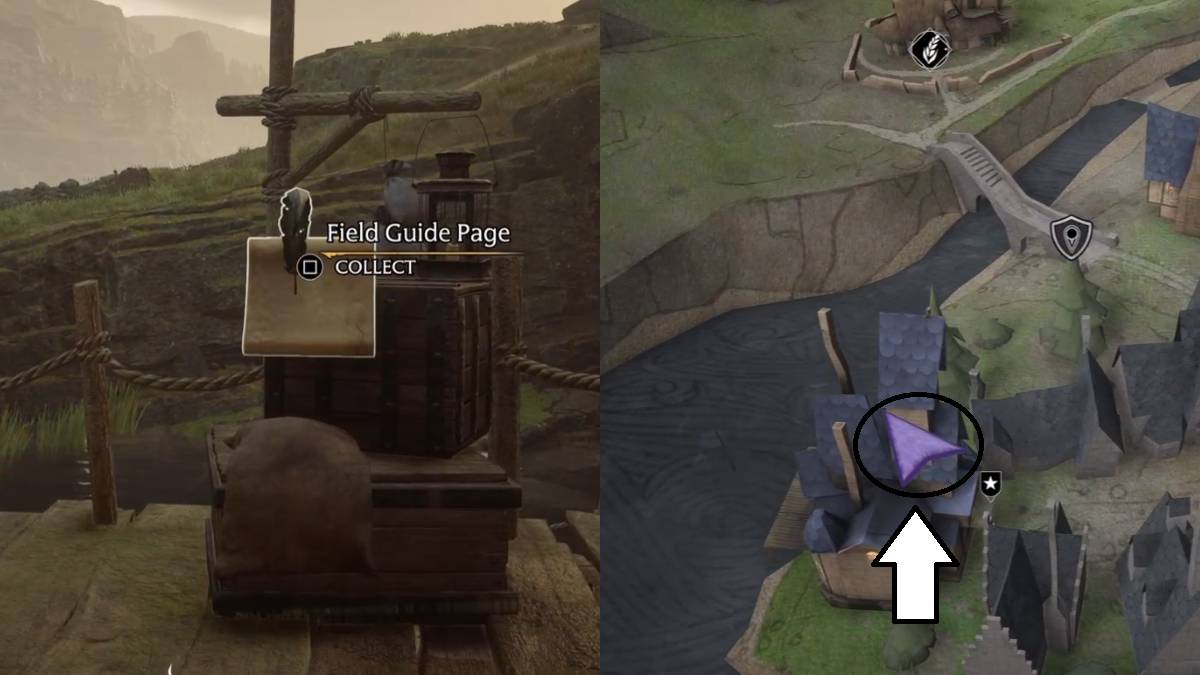 All Revelio Field Guide Pages in Hogsmeade - Hogwarts Legacy