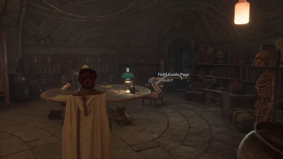 All Library Annex Revelio Field Guide Pages in Hogwarts Legacy | Pro ...