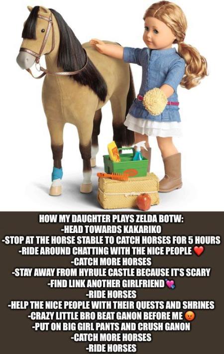 Best Zelda Memes & BotW Memes | Pro Game Guides