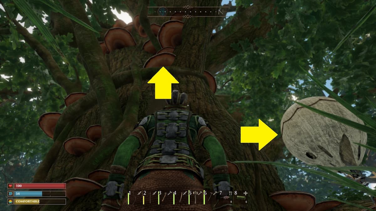 Best place to build a Base in Smalland Survive the Wilds | Pro Game Guides