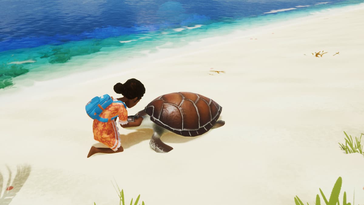Tchia Review: A heartfelt delight worth exploring | Pro Game Guides