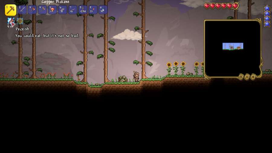 7 Best Terraria 1.4 Seeds | Pro Game Guides