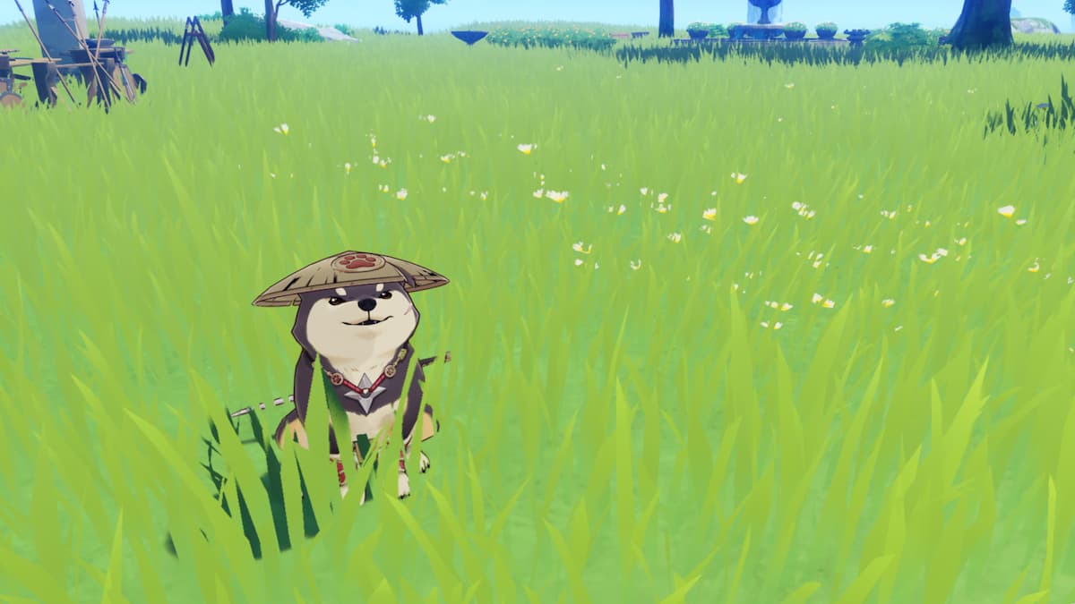 Genshin Impact Pets List | Pro Game Guides