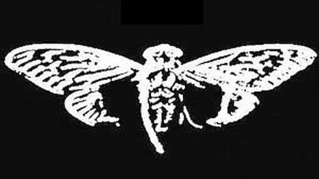 What is an ARG? Best Alternate Reality Games (2023) | Pro Game Guides