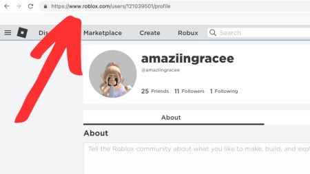 How to find your player ID on Roblox | Pro Game Guides