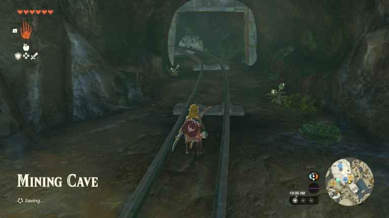 How to farm Brightbloom Seeds in Zelda TotK (Tears of the Kingdom ...