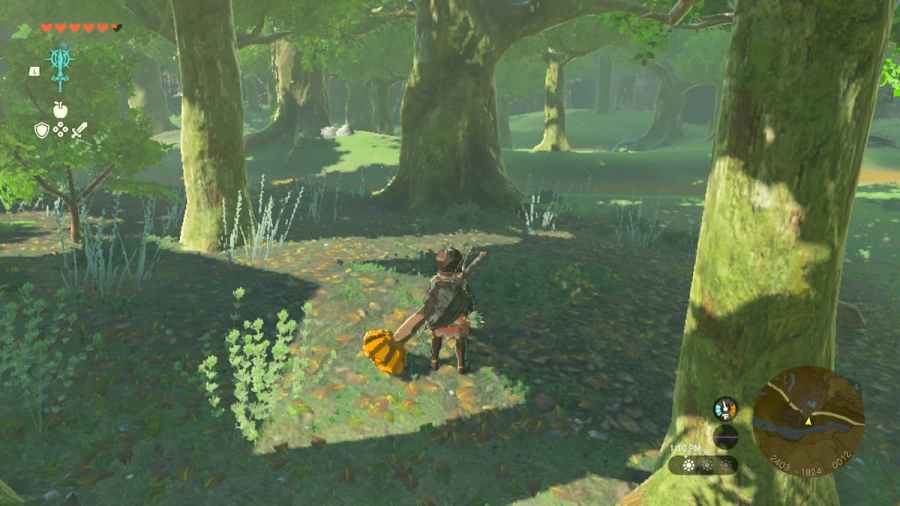 Where to farm Stamella Shrooms in Zelda TotK (Tears of the Kingdom ...