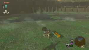 Best early fuse combinations in TotK (Zelda Tears of the Kingdom) | Pro ...