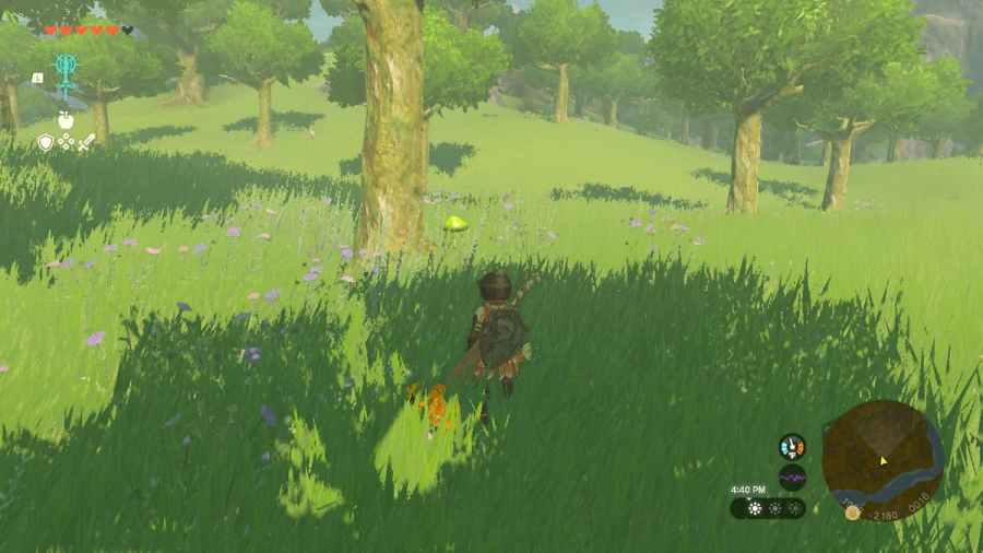 Where to farm Stamella Shrooms in Zelda TotK (Tears of the Kingdom ...