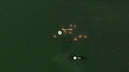 Where to farm Keese Wings in TotK (Zelda Tears of the Kingdom) | Pro ...