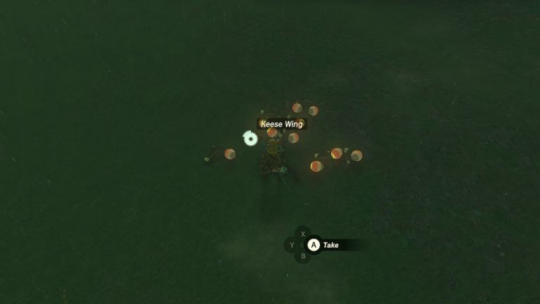 Where to farm Keese Wings in TotK (Zelda Tears of the Kingdom) | Pro ...
