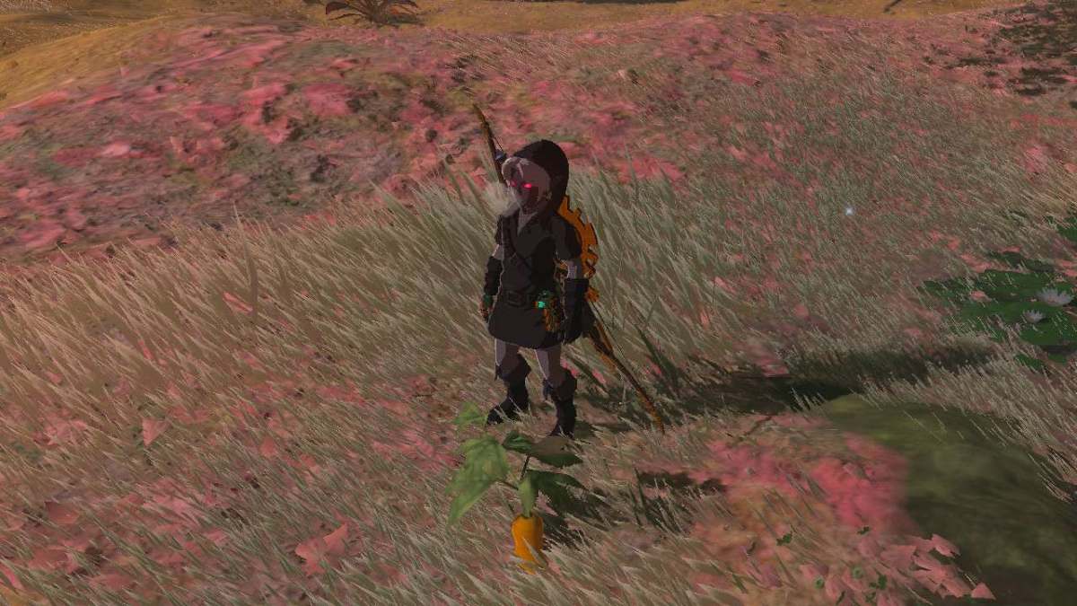 How to get Endura Carrots in Zelda Tears of the Kingdom (TOTK) | Pro Game Guides