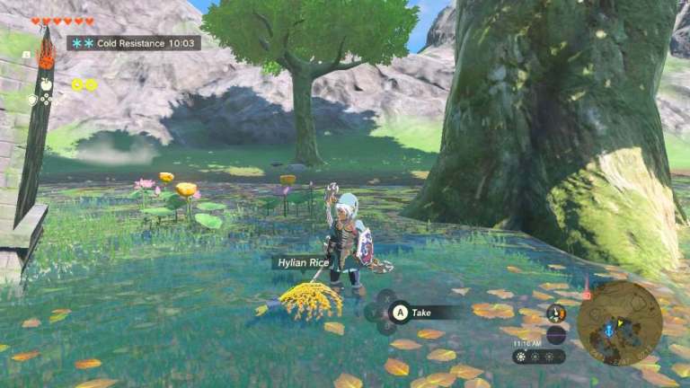 Where to farm Hylian Rice fast in Zelda TotK (Tears of the Kingdom ...