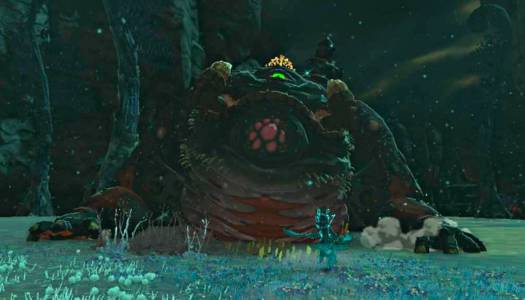 All Frox Locations (Map) in TotK - Zelda Tears of the Kingdom | Pro ...