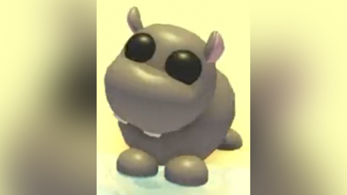 All pets that can be hatched from the Danger Egg in Adopt Me! – Roblox ...