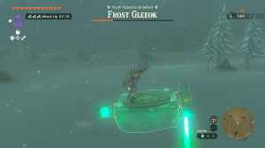 How to beat the Frost Gleeok in Zelda Tears of the Kingdom (TOTK) | Pro ...