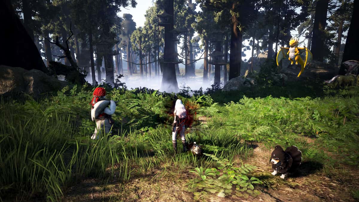 Black Desert Online Redeem Codes [BDO] - Pro Game Guides