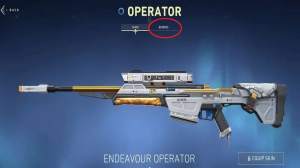 How to get rank gun buddies in Valorant | Pro Game Guides