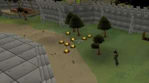 OSRS Firemaking Guide (1-99 Fastest Method) | Pro Game Guides