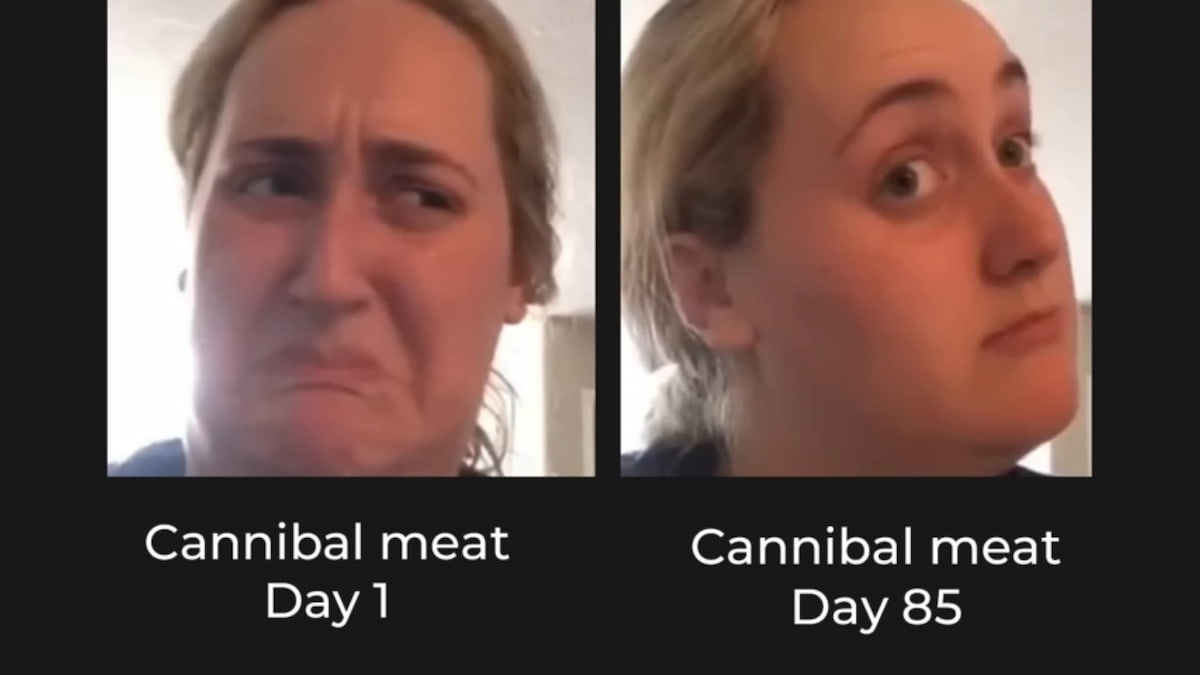 Best Sons of the Forest Memes | Pro Game Guides