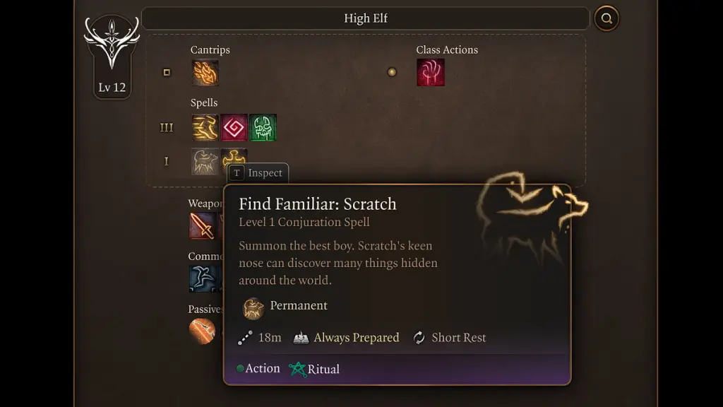 BG3: All Ritual Spells in Baldur's Gate 3 | Pro Game Guides