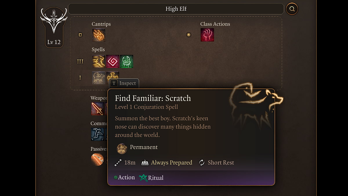 BG3: All Ritual Spells in Baldur's Gate 3 | Pro Game Guides