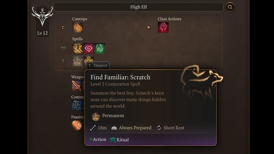 BG3: All Ritual Spells in Baldur's Gate 3 | Pro Game Guides