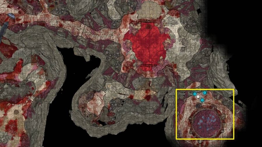 Baldur's Gate 3 (BG3) Necrotic Laboratory Puzzle Solution | Pro Game Guides