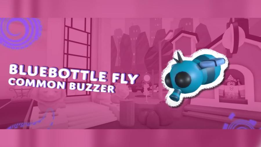 All pets that can be hatched from the Urban Egg in Adopt Me! – Roblox ...