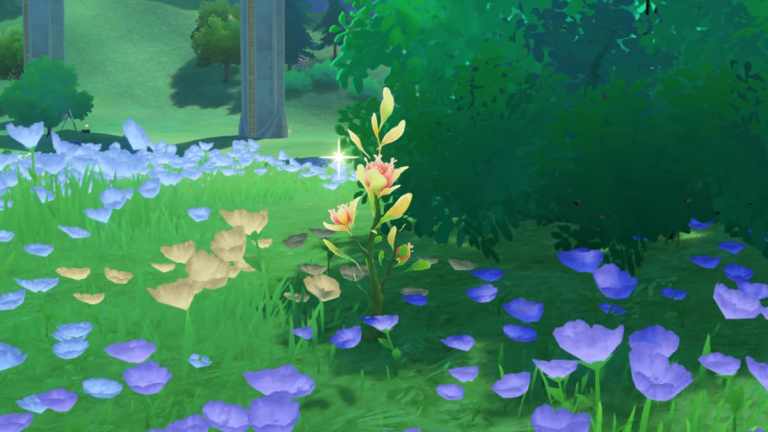 All Marcotte Locations in Genshin Impact | Pro Game Guides