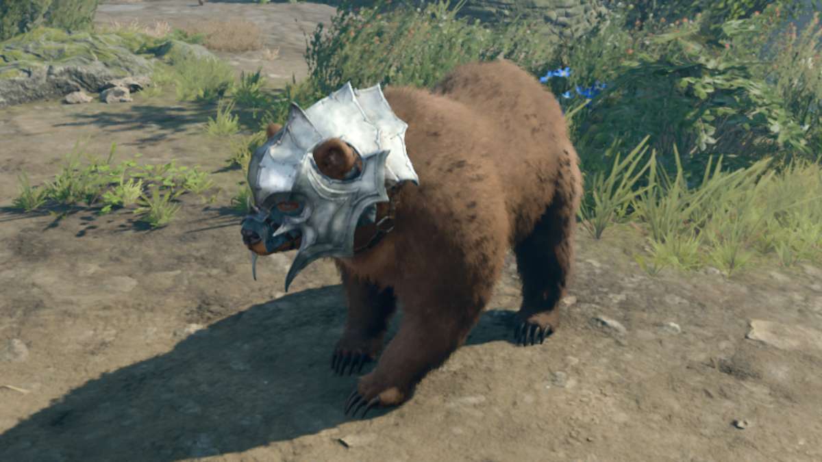 Best Beast Master companions in BG3 | Pro Game Guides