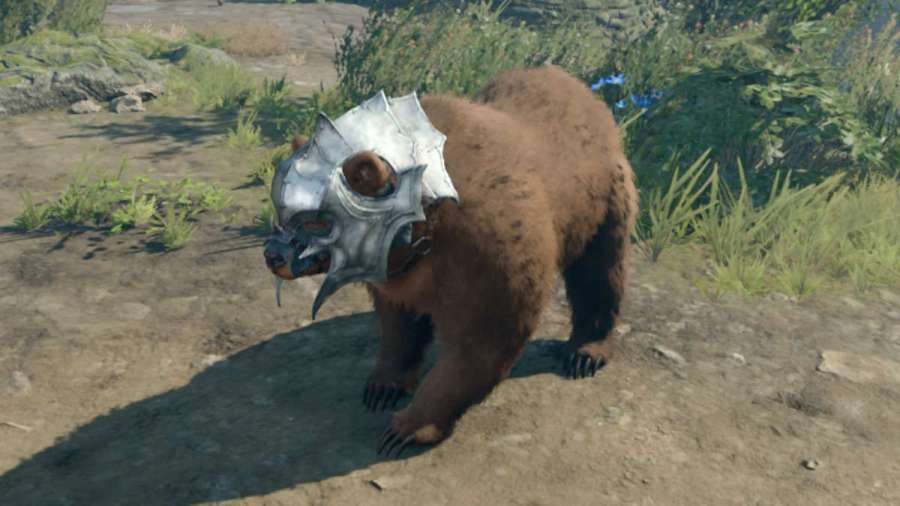 Best Beast Master companions in BG3 | Pro Game Guides