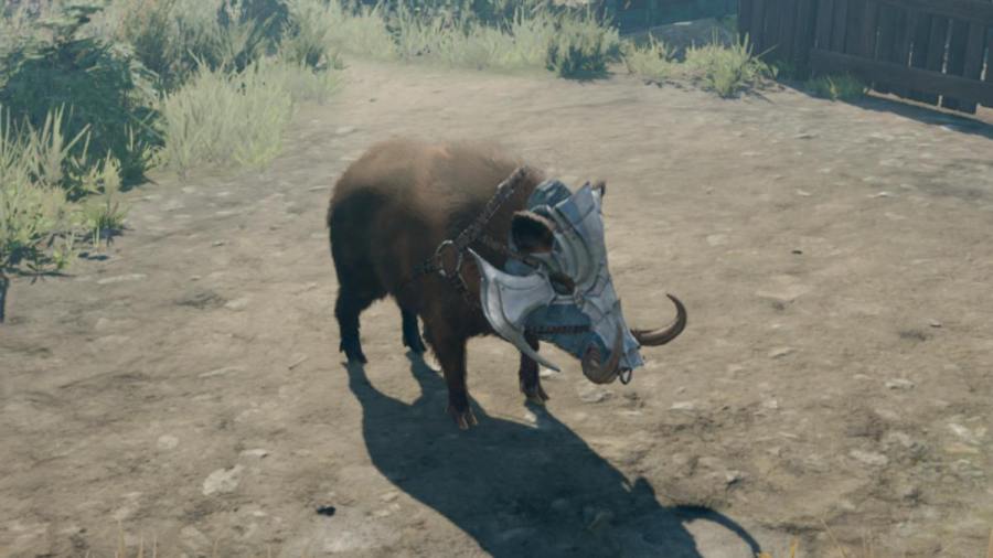 Best Beast Master companions in BG3 | Pro Game Guides