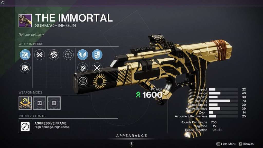 Best Primary SMGs and Auto Rifles in Destiny 2 | Pro Game Guides