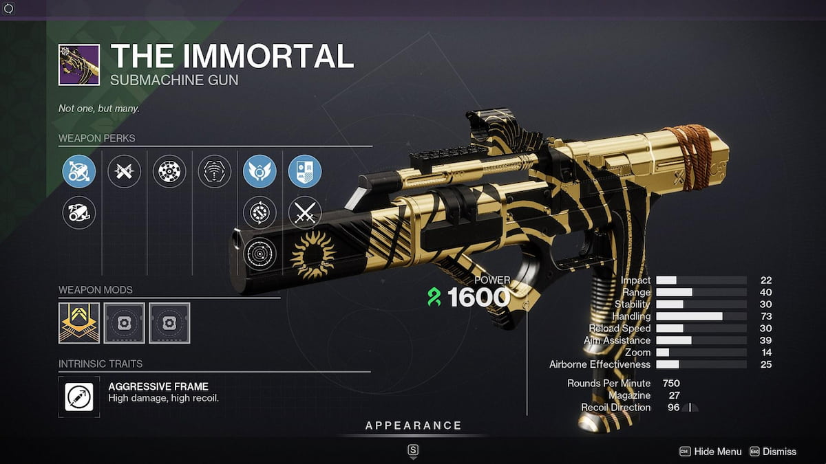 Best Primary SMGs and Auto Rifles in Destiny 2 | Pro Game Guides