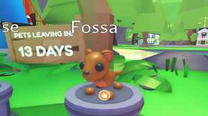 All New Jungle Theme Pets & How to Get Them in Adopt Me - Roblox | Pro ...