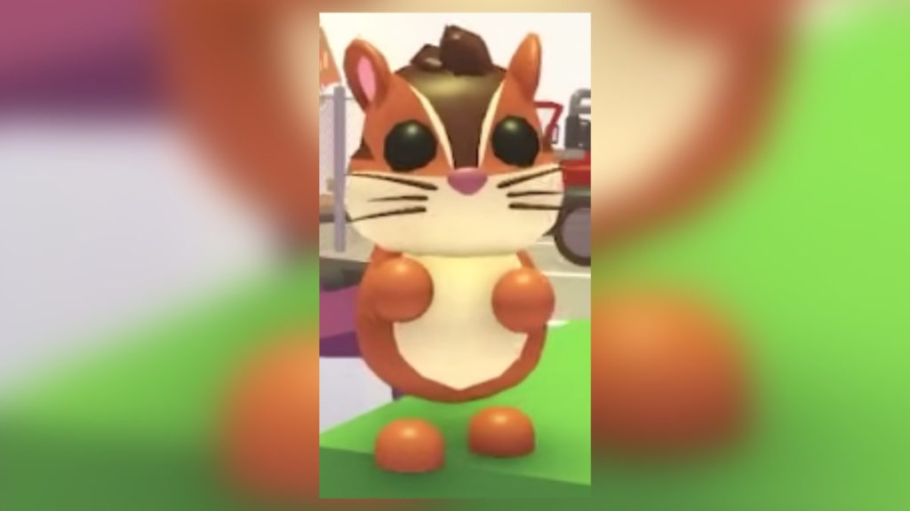 All pets added with Adopt Me's Chipmunk & Raccoon update - Roblox | Pro ...