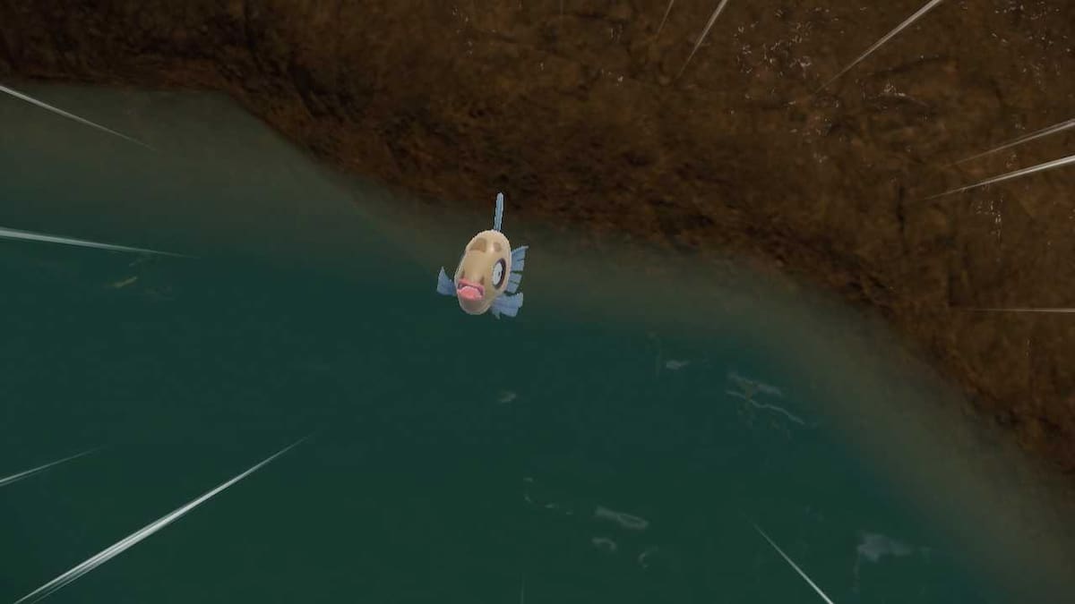 Where to find Feebas (Map) in Pokémon Scarlet & Violet Teal Mask DLC ...